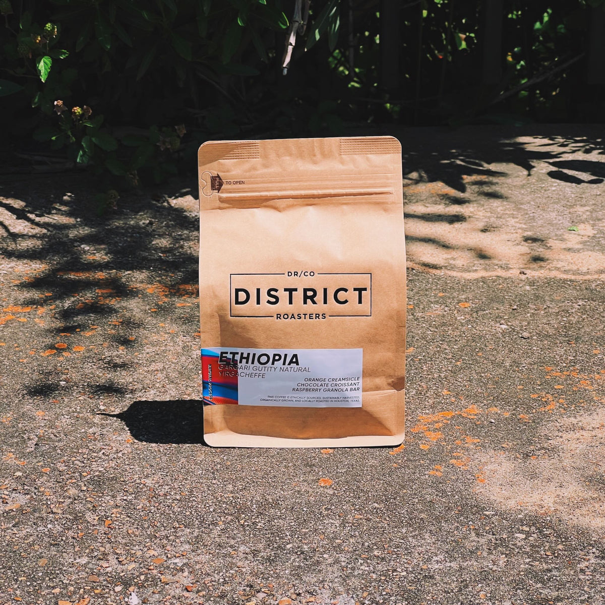 Ethiopia | Yirgacheffe Gargari Gutity Natural – DISTRICT Roasters